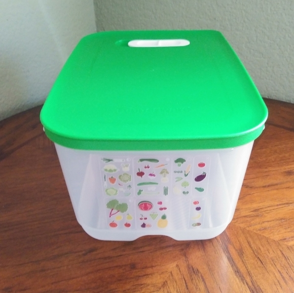 Tupperware | Storage & Organization | New Tupperware Fridgesmart Food ...